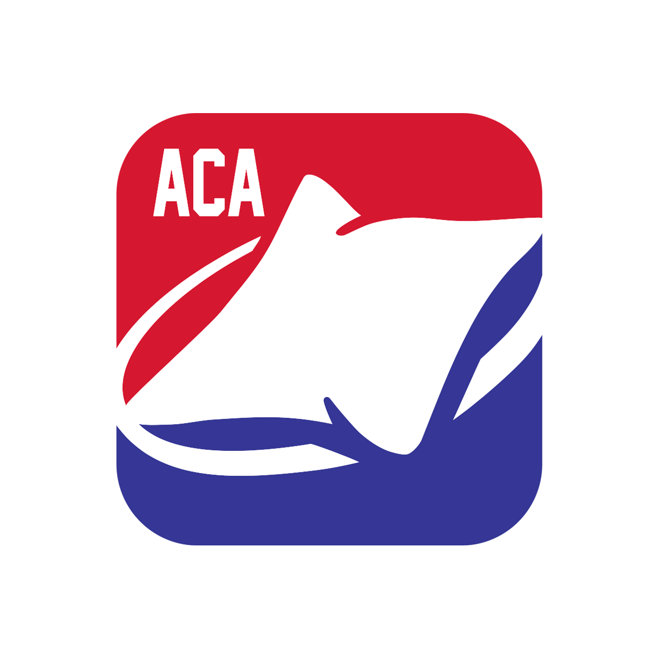 ACA Cornhole Boards